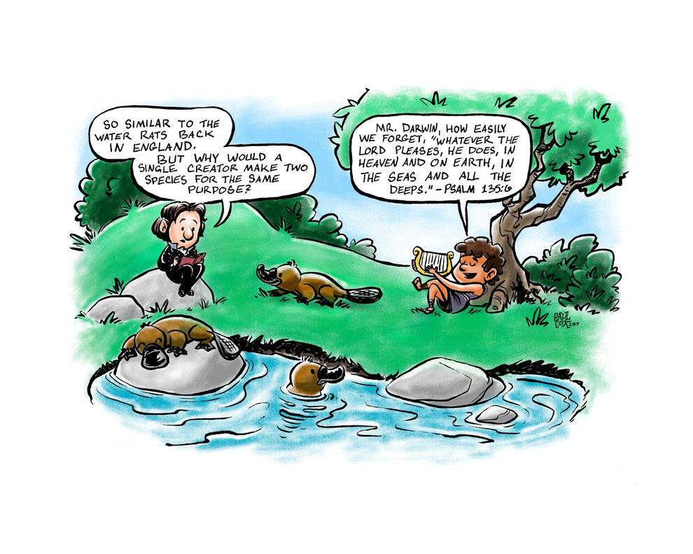 PRINT: David and Darwin – RefToons